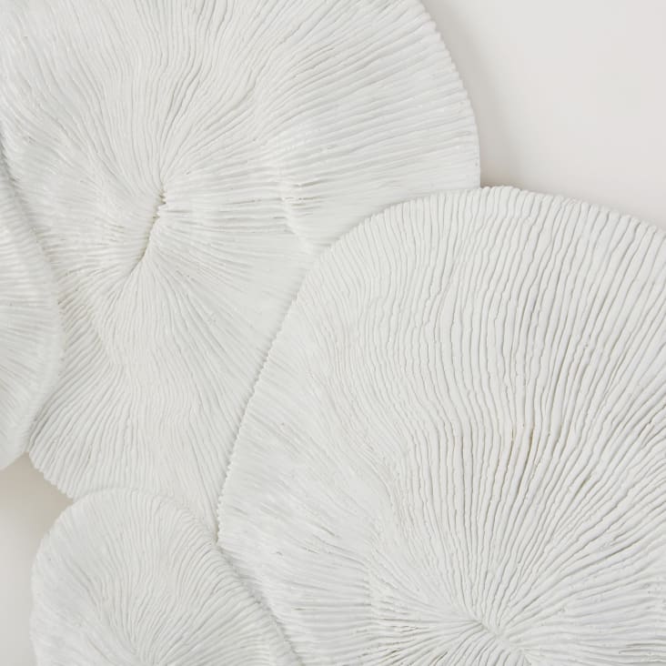 Conchas decorativas de parede em resina cru 120x70 CLAM | Maisons du Monde