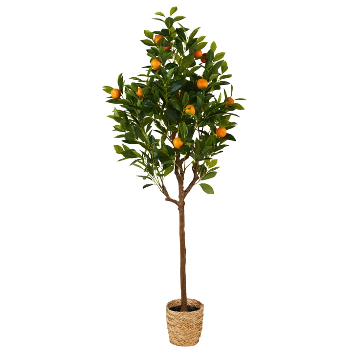 Pianta di mandarini artificiale verde alt. 156 cm Tanger | Maisons du Monde