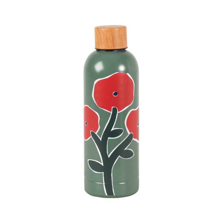 Waterfles in roestvrij staal, groen en rood , 0,5L Norwich | Maisons du ...