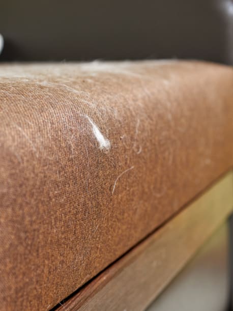 Notre guide pour nettoyer un canapé en microfibre | Maisons du Monde