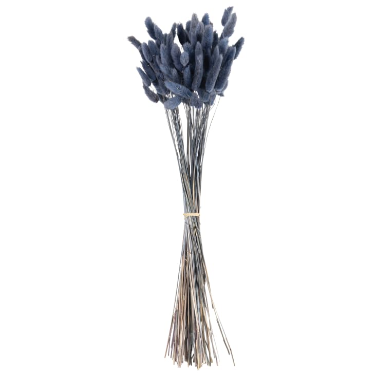 Bouquet de lagurus ovatus séché bleu violine Violine | Maisons du Monde