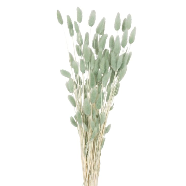 Bouquet di coda di lepre verde acqua GEOF | Maisons du Monde