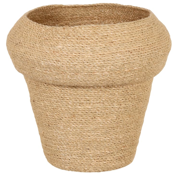 Norfolk Memes IPSWICH (scum) MEME MEGATHREAD : r/NorwichCity