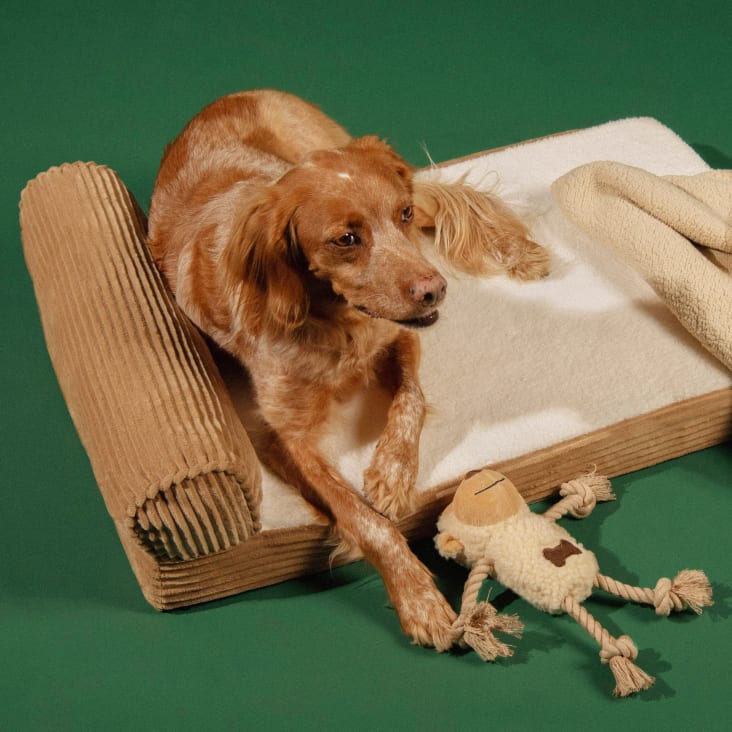 🐶 Cama para perros color camel Simba | Maisons du Monde