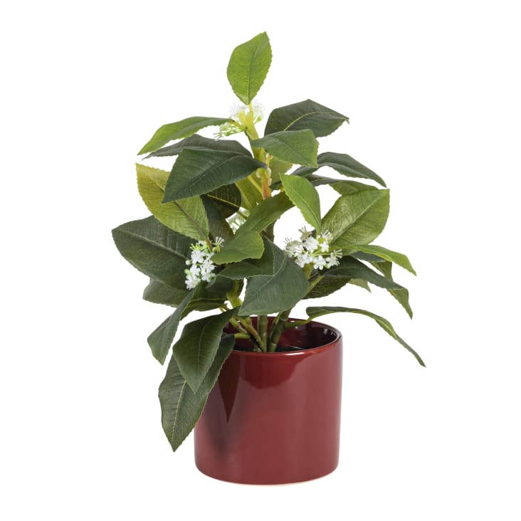 Plante artificielle et pot en ciment bordeaux Alessandro | Maisons du Monde