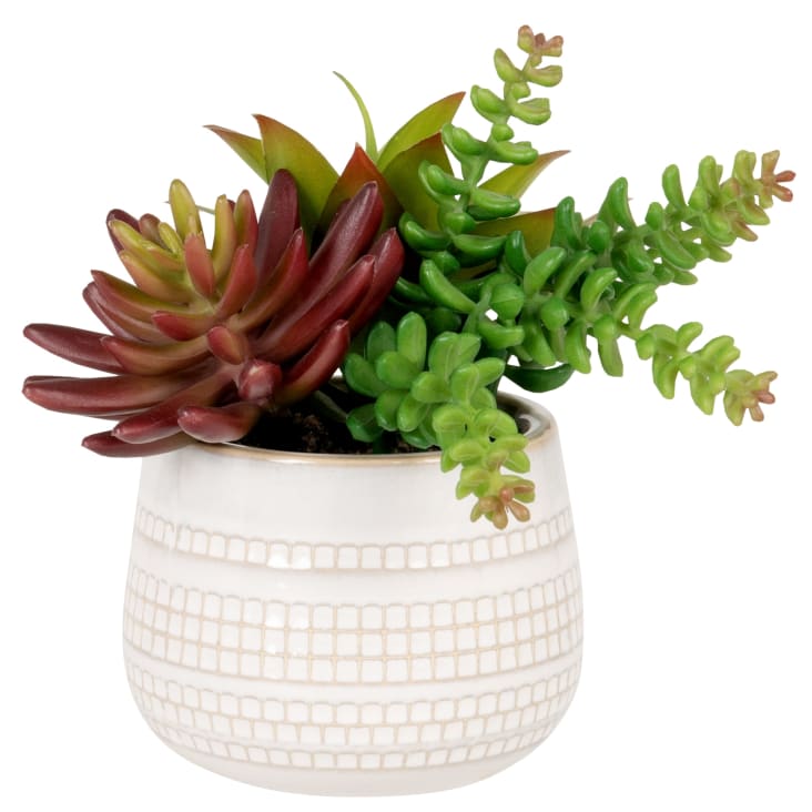 Plante artificielle et pot en grès blanc cassé ELISA | Maisons du Monde