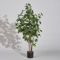 Pianta artificiale verde e vaso quadrato in ceramica verde Yucca ...