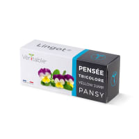 Lingot Mini poivron chocolat BIO - Recharge prête à l'emploi | Maisons ...