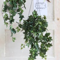 Pianta artificiale Cycas in vaso H 90 cm | Maisons du Monde