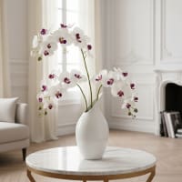 Stelo di orchidea phalaenopsis bianca H60 Phalaenopsis | Maisons du Monde