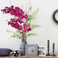 Stelo di orchidea phalaenopsis bianca H60 Phalaenopsis | Maisons du Monde