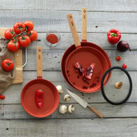 Poêle en revêtement céramique paprika 24cm - tous feux Ector | Maisons ...