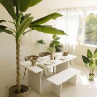 Table à manger en microciment blanc cassé 180x75cm Bimba | Maisons du Monde