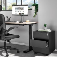 Caisson de bureau à roulettes 2 tiroirs et 1 à dossiers suspendus noir ...