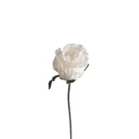 Tallo de dalia artificial crema H48 Andreas | Maisons du Monde