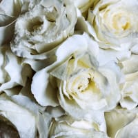 Tallo de dalia artificial crema H48 Andreas | Maisons du Monde