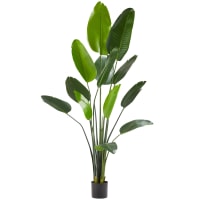 Pianta artificiale in vaso Strelitzia 90 cm OÏKO | Maisons du Monde