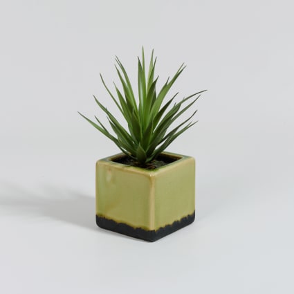 Pianta artificiale verde e vaso quadrato in ceramica verde Yucca ...