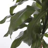Pianta artificiale in vaso Strelitzia 90 cm OÏKO | Maisons du Monde