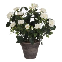 Plante artificielle Rose Polyester H33xl25xL25cm Rosebush | Maisons du ...