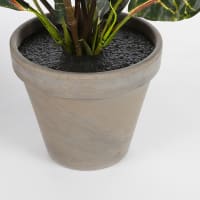 Künstliche Monstera-Pfalnze im Topf, H 155 cm | Maisons du Monde