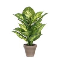 Plante artificielle Vert Polyester H65xl40xL40cm Hosta | Maisons du Monde