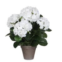 Plante artificielle Blanc Polyester H30xl30xL30cm Cyclamen | Maisons du ...