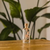 Fleur immergée Hortensia lilas H12 Herbarium de theophile | Maisons du ...