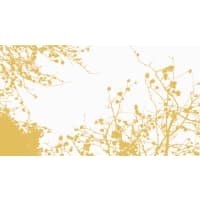 Papel pintado autoadhesivo hojas verde 50x300 cm | Maisons du Monde