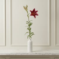 Tallo de camelia artificial roja H53 | Maisons du Monde