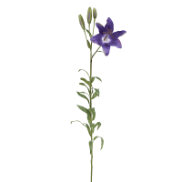 Tallo de gloriosa brillante artificial morada y plateada H88 Noël ...
