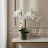 Tallo de orquídea artificial blanca H60 Phalaenopsis | Maisons du Monde