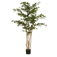 Plante artificielle Vert Polyester H180xl80xL80cm Eucalyptus | Maisons ...