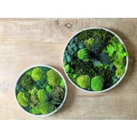 Toiles et tableaux Vert | Maisons du Monde