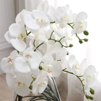 Tallo de orquídea artificial blanca H60 Phalaenopsis | Maisons du Monde