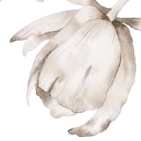 Papier peint fonds et dessins creamy daintiness 250x175 cm | Maisons du ...
