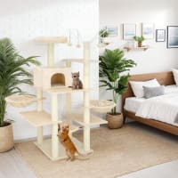 Arbre à chat griffoir multi-niveaux avec hamac et niche Danoo | Maisons ...
