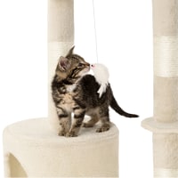 Arbre à chat multifonction, corde sisal, beige, 105x60x141cm Marcel ...