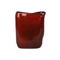 Plante immergée Erable rouge H23 Herbarium de theophile | Maisons du Monde
