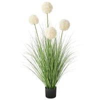 Plante artificielle Vert Plastique H53xl30xL30cm Dogtail | Maisons du Monde