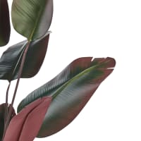 Traveller Banana - Pianta artificiale in vaso H160 cm | Maisons du Monde