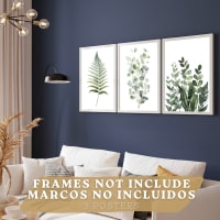 Plantas Rosa Verde Formas Set De 3 Posters Sin Marco A3 | Maisons du Monde