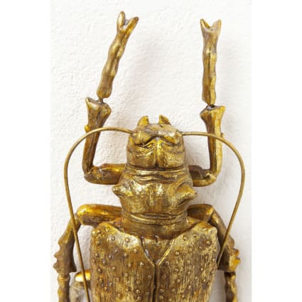 Wanddeko Käfer aus Polyresin, gold, H27cm Beetle | Maisons du Monde