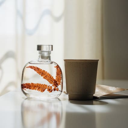 Capsule botanique Felci rouge Herbarium de theophile | Maisons du Monde