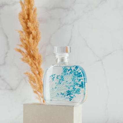 Capsule botanique Broom bleu turquoise Herbarium de theophile | Maisons ...