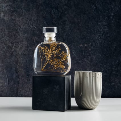 Capsule botanique Gypsophile or Herbarium de theophile | Maisons du Monde
