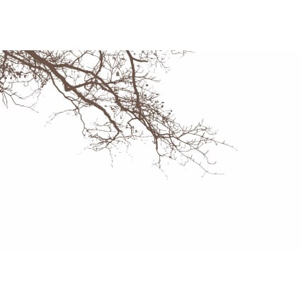 Papier peint panoramique Abstract Branch, Brun foncé 375 x 2 Acte-deco ...
