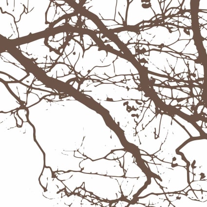 Papel pintado panoramico de ramas abstractas, Marrón oscuro Acte-deco ...