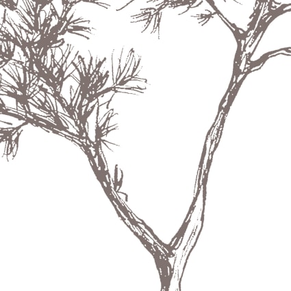 Papel pintado panorámico Paisaje de frente de mar, Marrón 15 ...