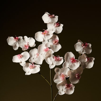 Tige d'orchidée phalaenopsis artificielle blanche H66 Phalaenopsis ...